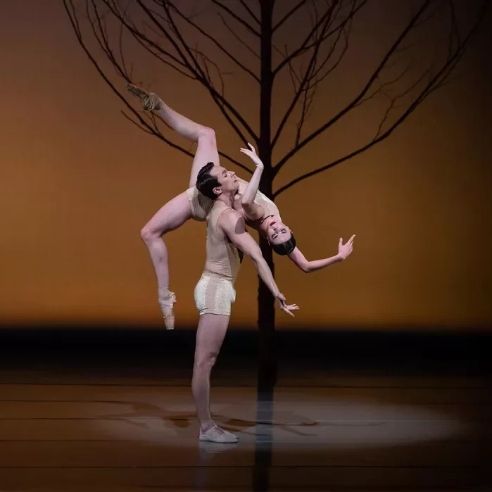 BalletMet : DanceMN